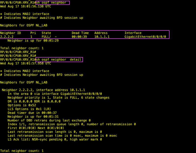 Cisco IOS-XR OSPF single area - Networks Learning